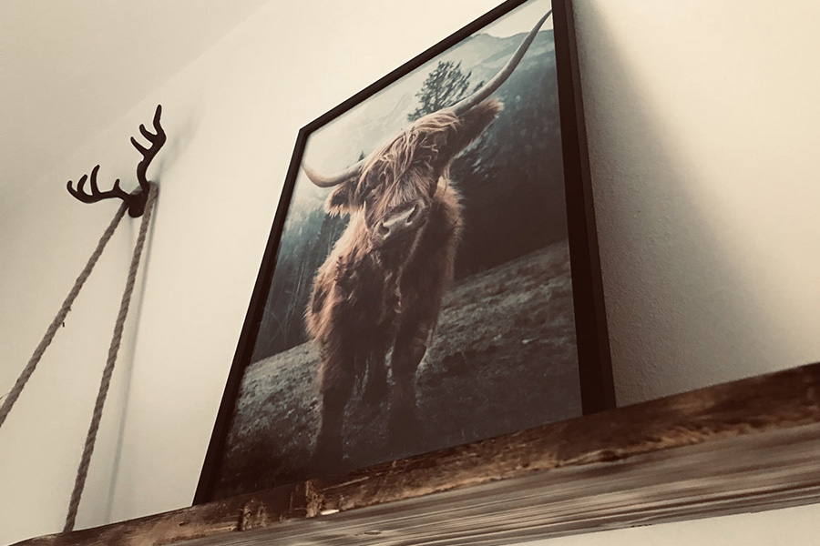 Stärken-Coaching - mv-concept